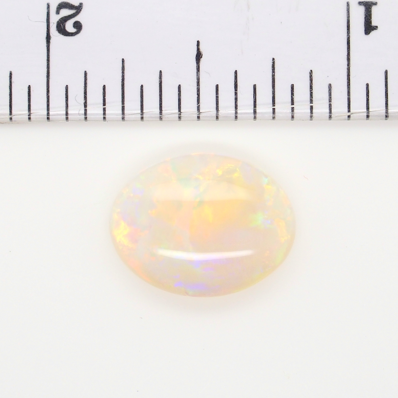 Unset Solid Crystal Opal | Opals Down Under