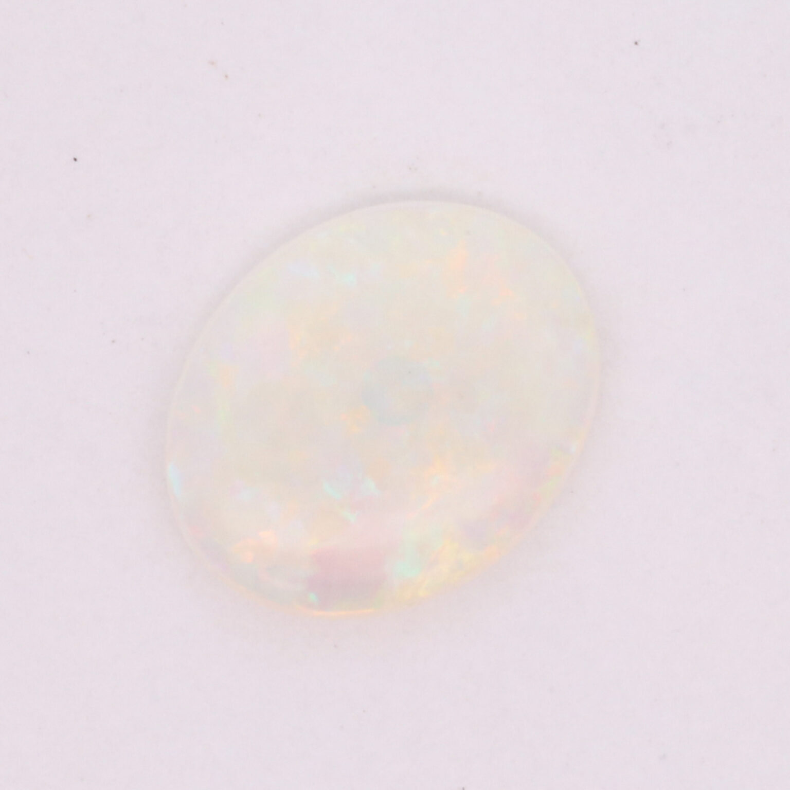 Solid Unset Crystal Opal | Opals Down Under