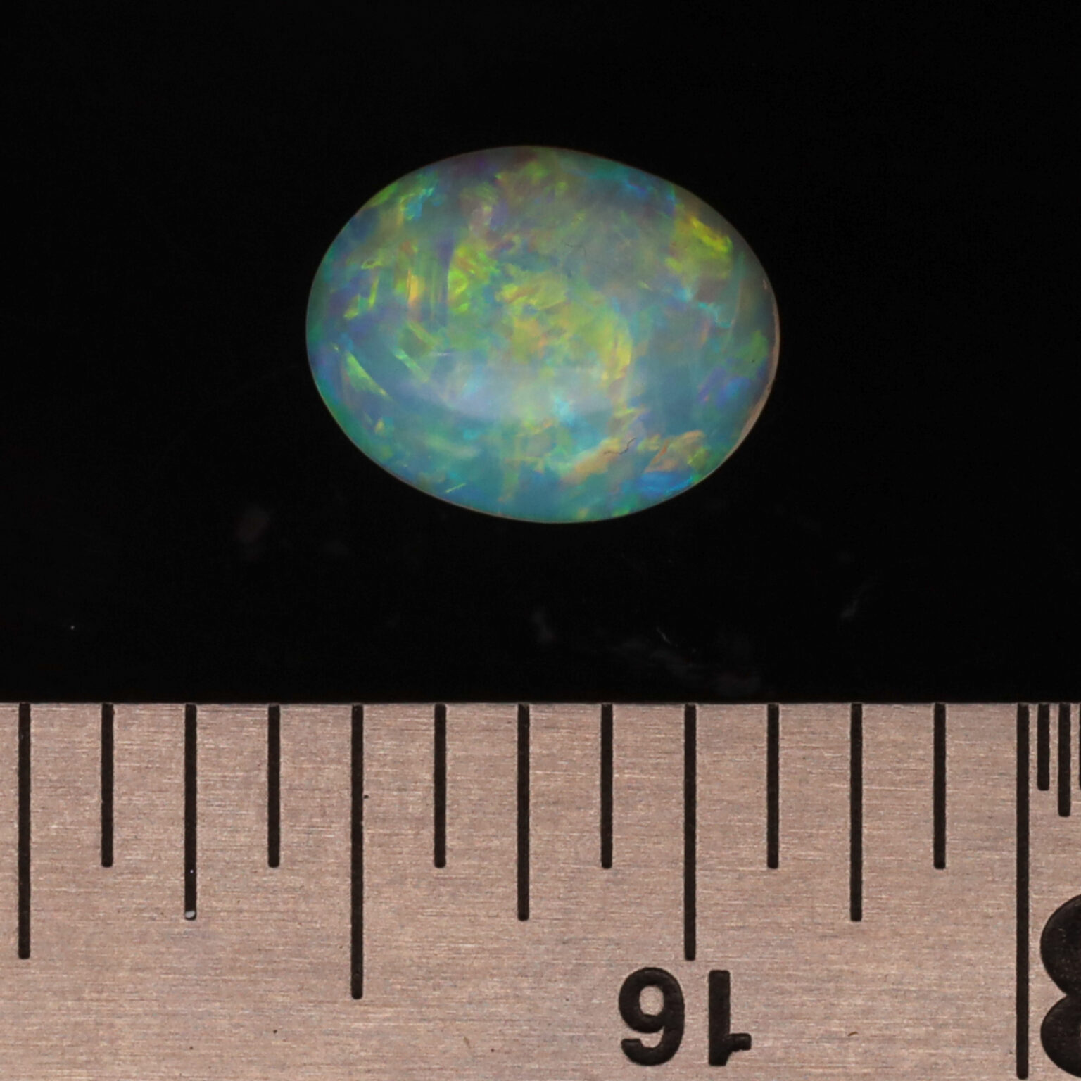 Solid Unset Crystal Opal | Opals Down Under